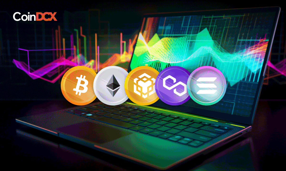 What Is Bitcoin Rainbow Chat & How to Use the Crypto Trading Tool?